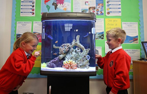 Classroom aquariums: Tools to make education fun! - World leading ...
